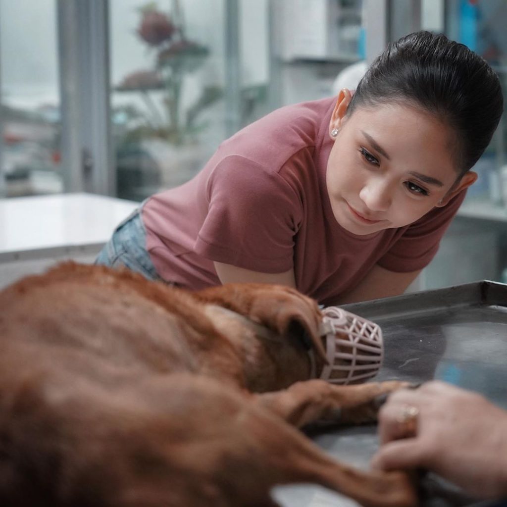 11 Sarah Geronimo Facts You Probably Don’t Know