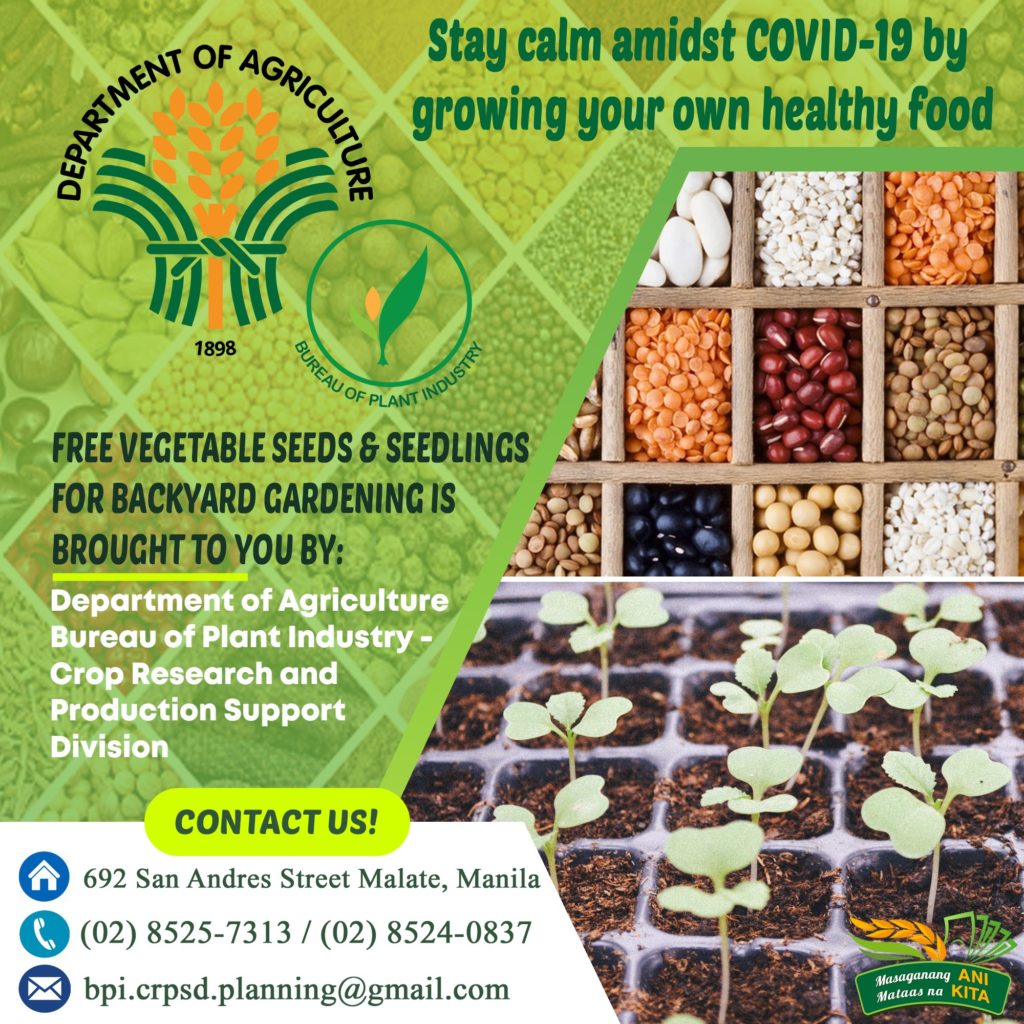 Metro Manila Residents Can Now Grow Our Own Bahay Kubo Gardens At Home ...