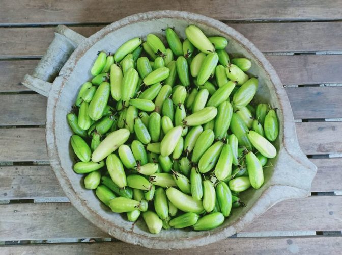 Pulilan, Bulacan Stays Self-Sufficient With Local Farming In Pandemic