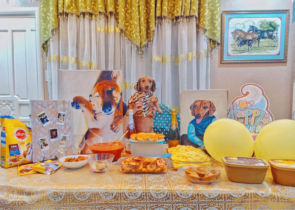 Dachshund Owner Dresses Dog In Her Own Baptism Dress