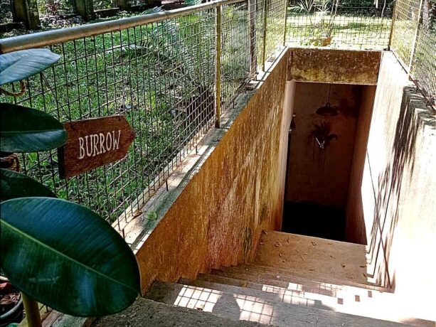 Burrow Cafe In Taytay, Rizal Is An Underground Cafe