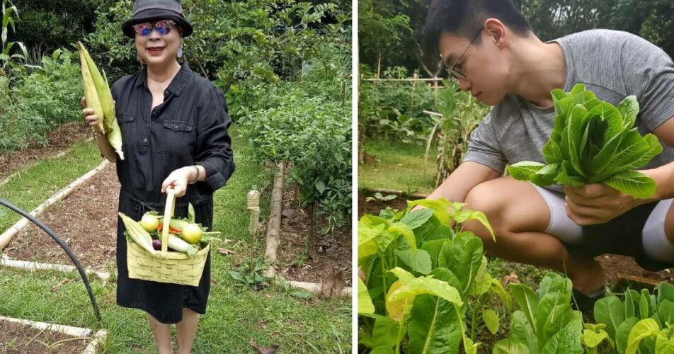 The Weekend Farmer In Cavite Lets You Harvest Your Own Vegetables