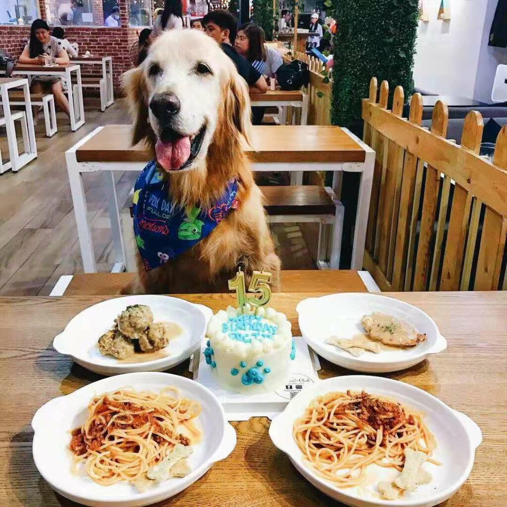 9 Pet-Friendly Cafes In the Metro Where Your Pets Can Play All Day