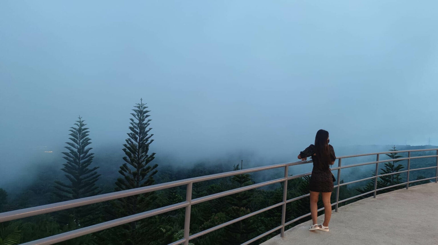 Tanay Highlands: Pet-Friendly Cafe, Resto, & Campsite With A View