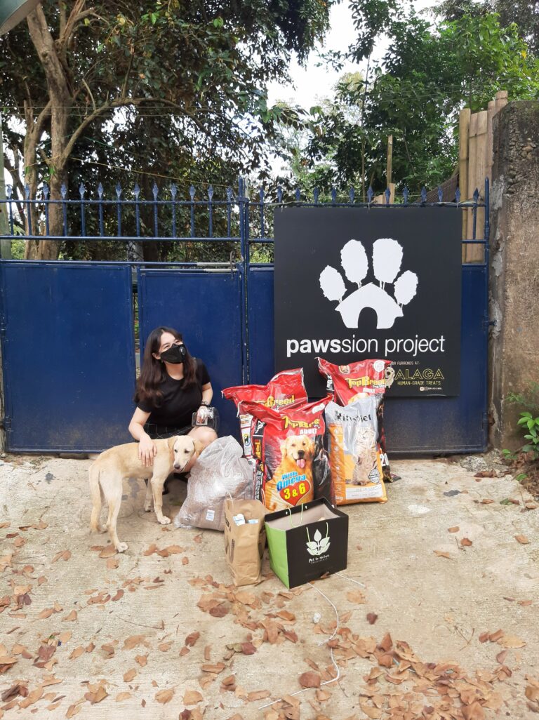 8 Things To Know Before Adopting A Pet In The Philippines