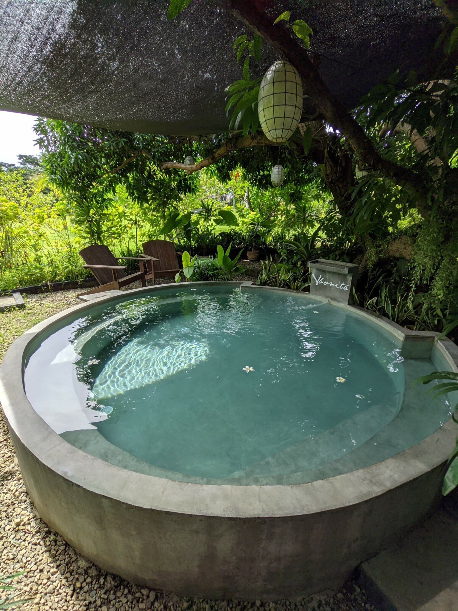 Ybonita Farm And Villas, Batangas: Villas In Nature & Feeding Animals