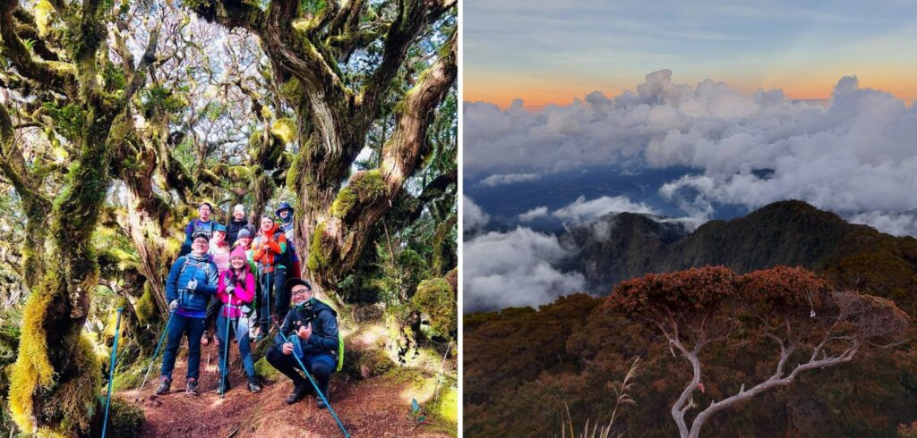 12 Things To Do In Bukidnon The Next Time You Need to Escape City Life ...